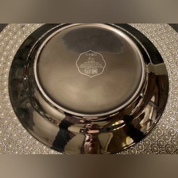Ciroa | Dining | Ciroa Luxe Porcelain Platinum Dots Rim Dinner Plates ...
